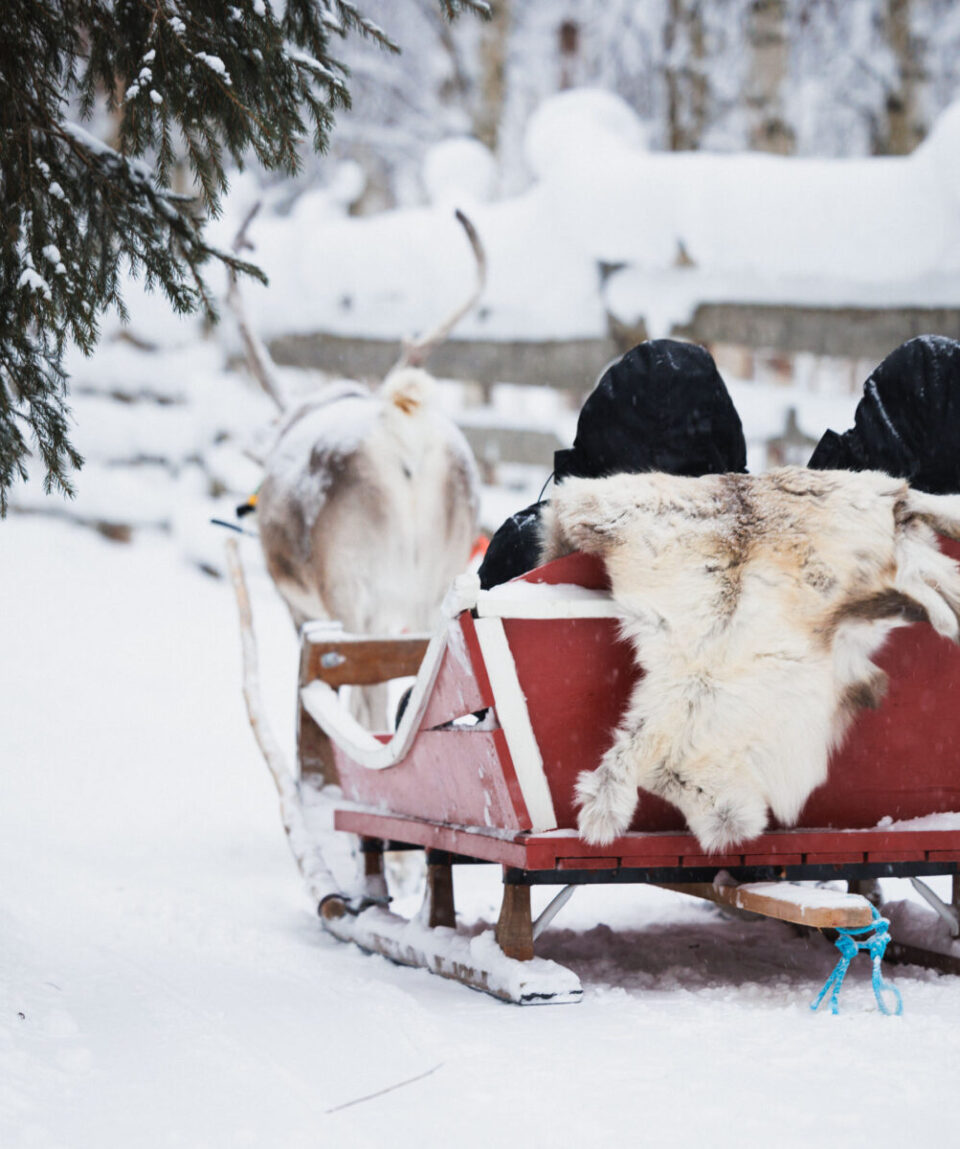 Snowmobile safari to Reindeer farm - Arctic Circle Snowmobile Park